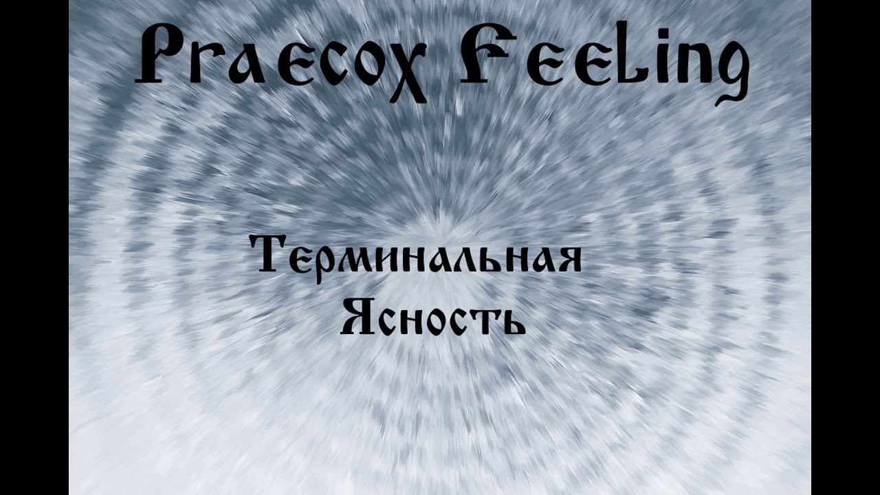 Praecox Feeling-Эфемерный Окуловский Май