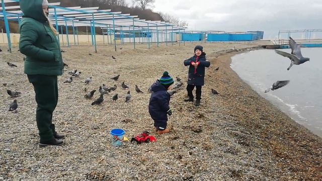 Поездка в Анапу зимой перед Новым годом.(2024)