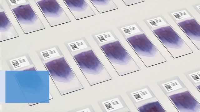 Ручные стейнеры для окраски препаратов V-Chromer Mini | West Medica