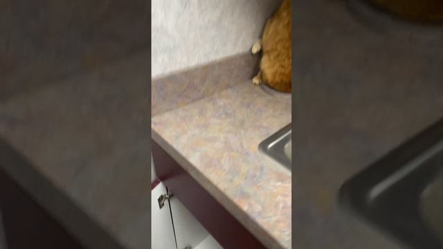 Когда прячешься от проблем, но они все равно тебя находят