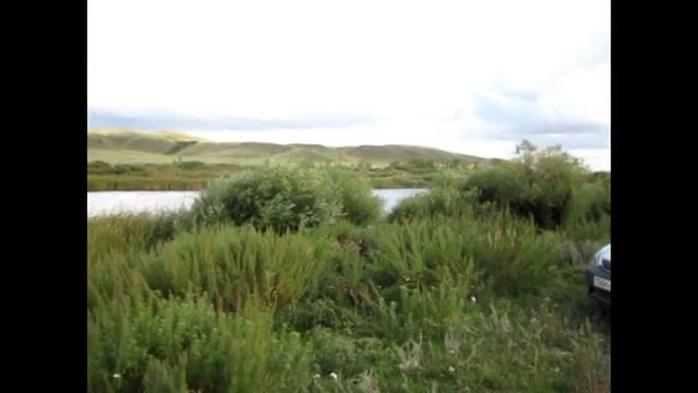 Змеиная сопка 2018