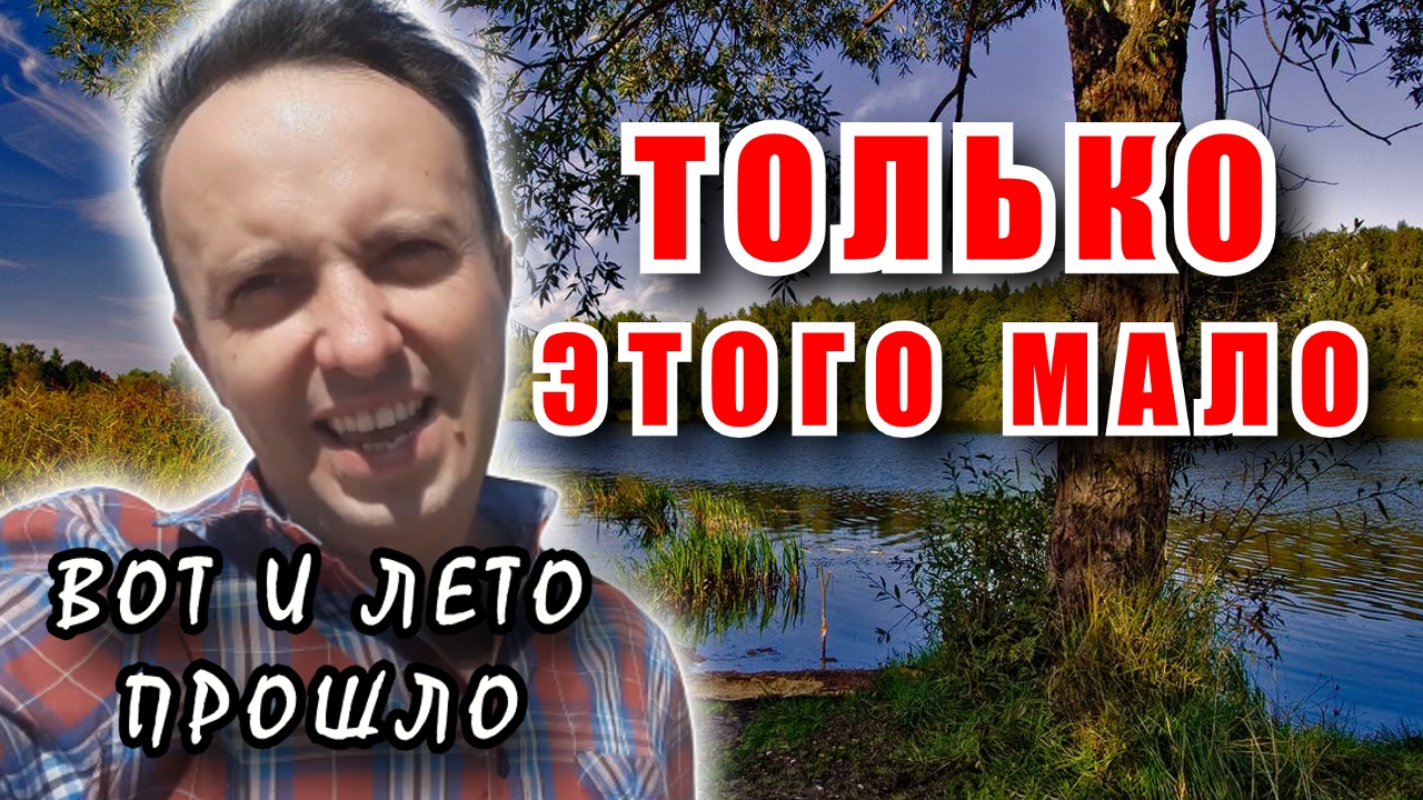 Только этого мало - София Ротару (cover)