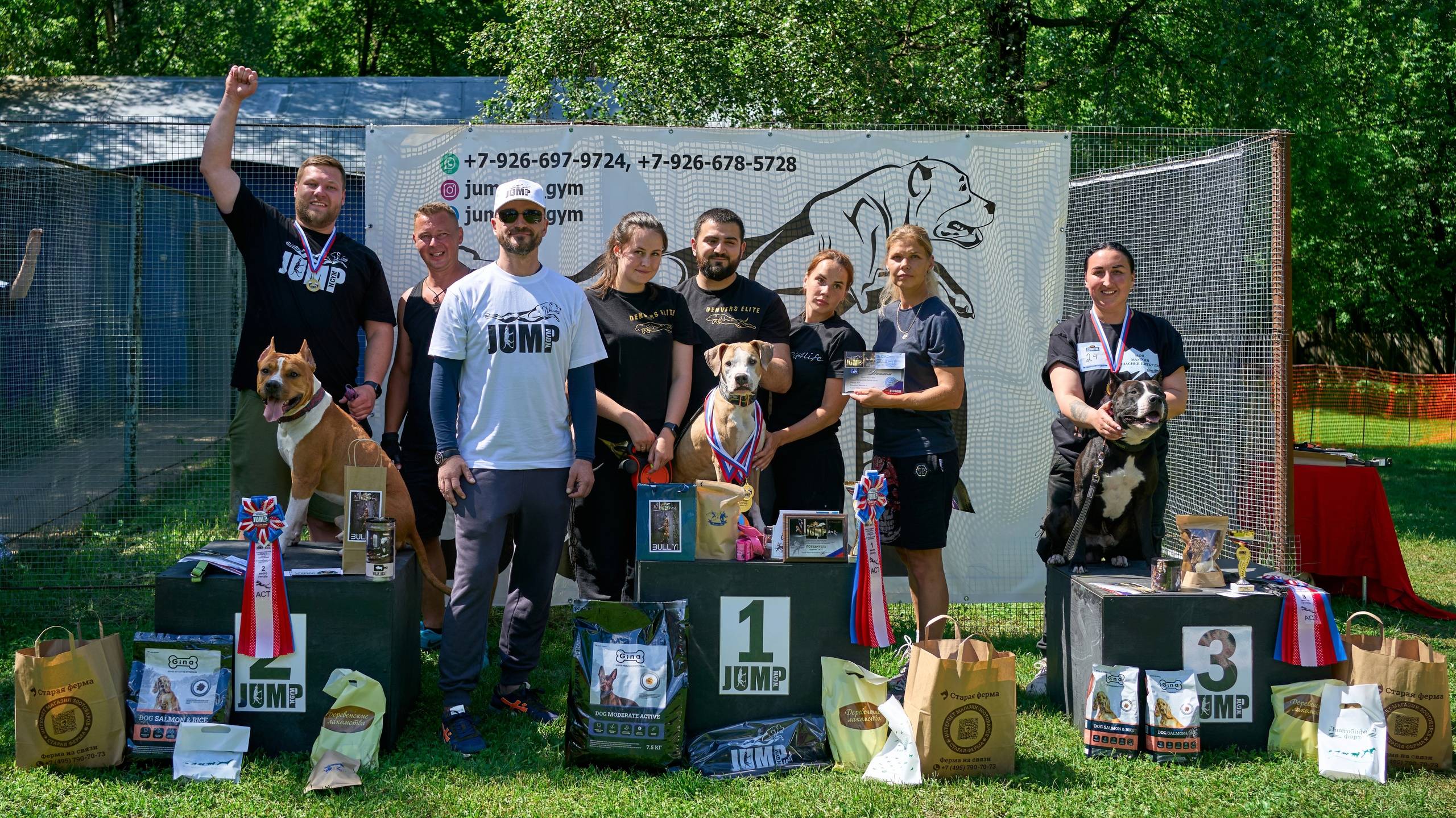 Амстаффы. Пит-стафф многоборье Jump'n'Gym Fest . Июнь 2024