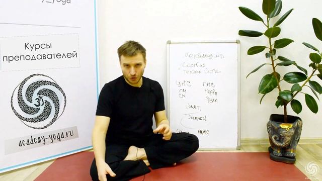 Механизмы воздействия техник йоги