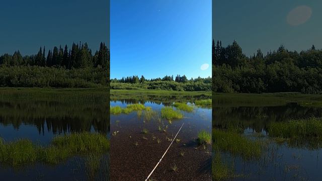 я нашел чудное место #рыбалка