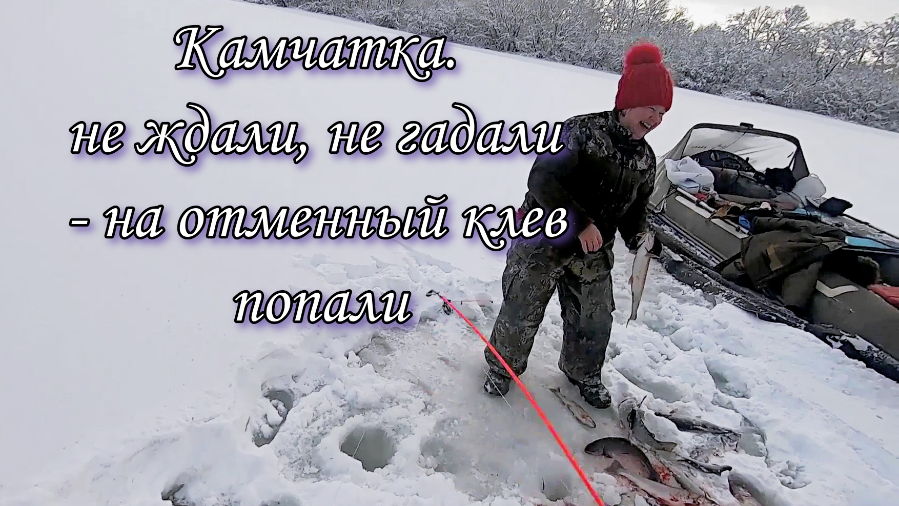 Не ждали не гадали, на шикарный клев попали! Камчатка .