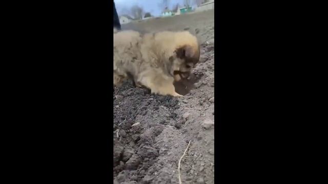 Скоро на всех грядках страны!