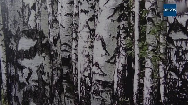 Как правильно клеить фотообои DEKOS на стеклохолсте — максимальное качество. Минимум трудозатрат.