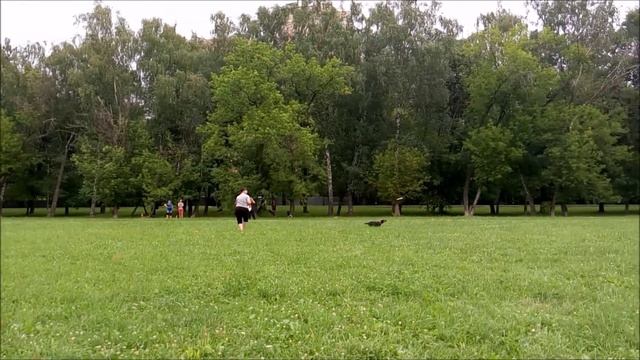 Кубок Клуба Елизавета и Цири.mp4