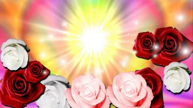 БЕСПЛАТНО! футаж роза5.mp4