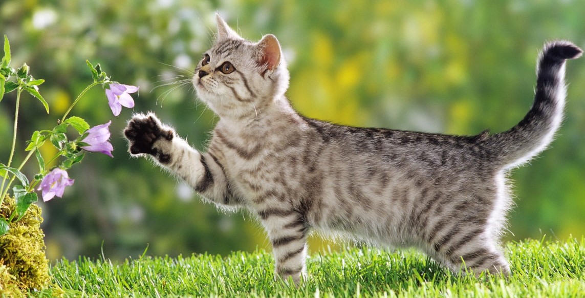 Путь. Автор текста Татьяна Авдеева. Стихи.