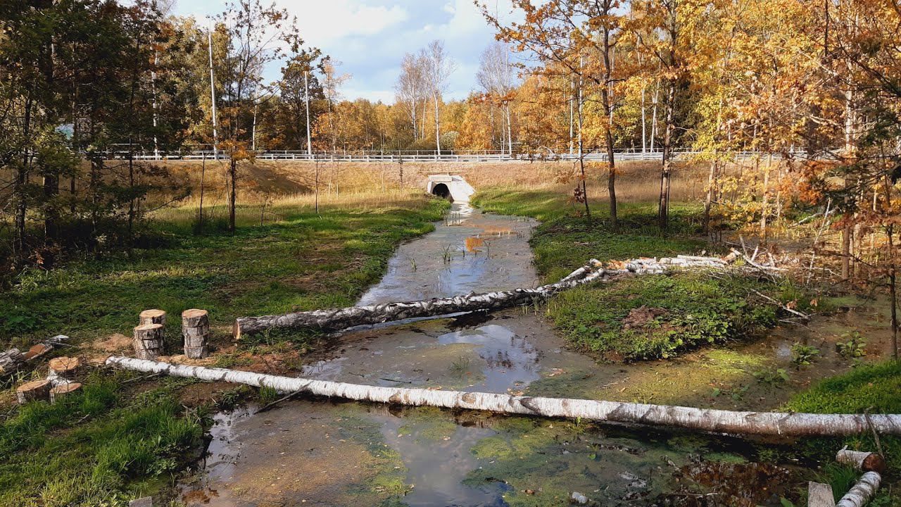 Нужен ли парк у дома Парк Филатов Луг