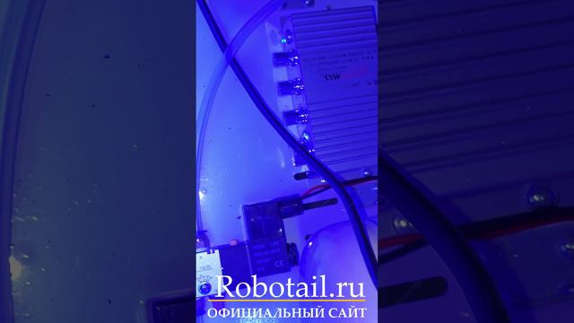 Нет воздуха на аттракционе виртуальной реальности Сrazy Egg