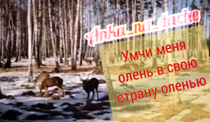 Умчи меня олень в свою страну оленью...