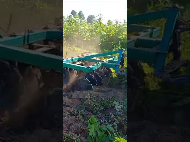 Борона БДМ 2.4х2 Н  Вятка  для МТЗ 82