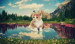 СБОРНИК ! ПЕРВАЯ ЛЮБОВЬ! ЛИРИКА! 2024!