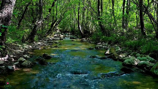 Нежная лечебная музыка здоровья и для успокоения нервной системы, глубокого релакса