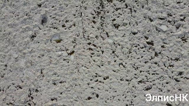 Наводнение 09 апреля 2022г г.Калтан Кемеровской области. Взрыв,  ондатра.mp4