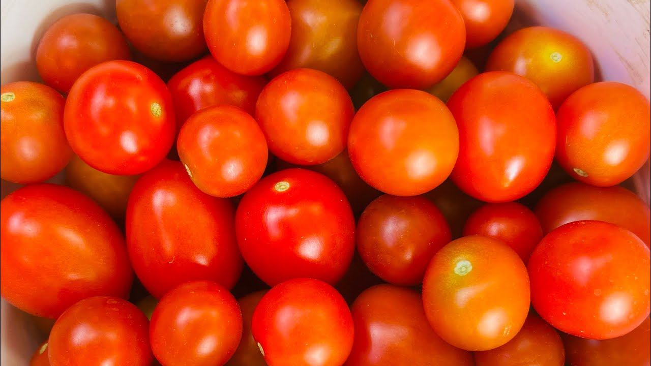 Семена. Часть 1. Помидоры. Лето 2023 года