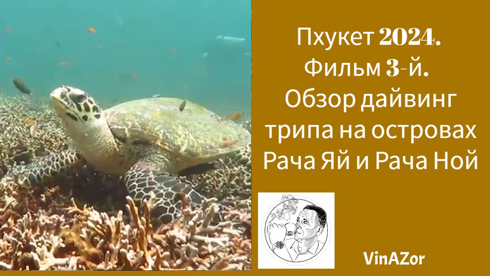 Пхукет 2024. Фильм 3-й . Обзор дайвинг трипа на островах Рача Яй и Рача Ной.