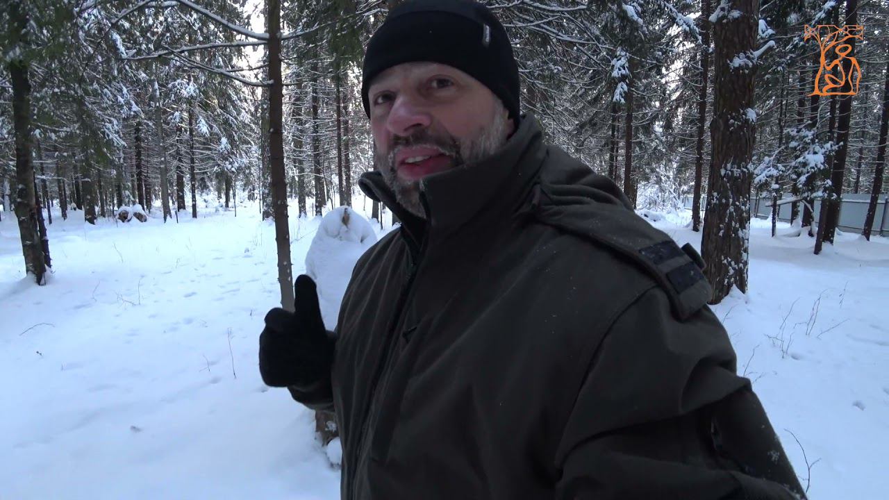 Что ждёт арбалеты и луки в 2022 году?