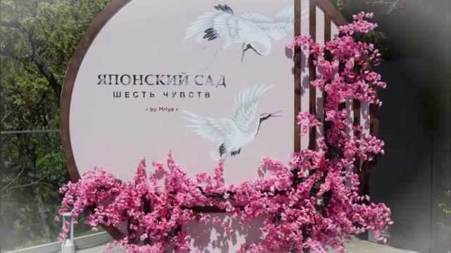 Сакурафест