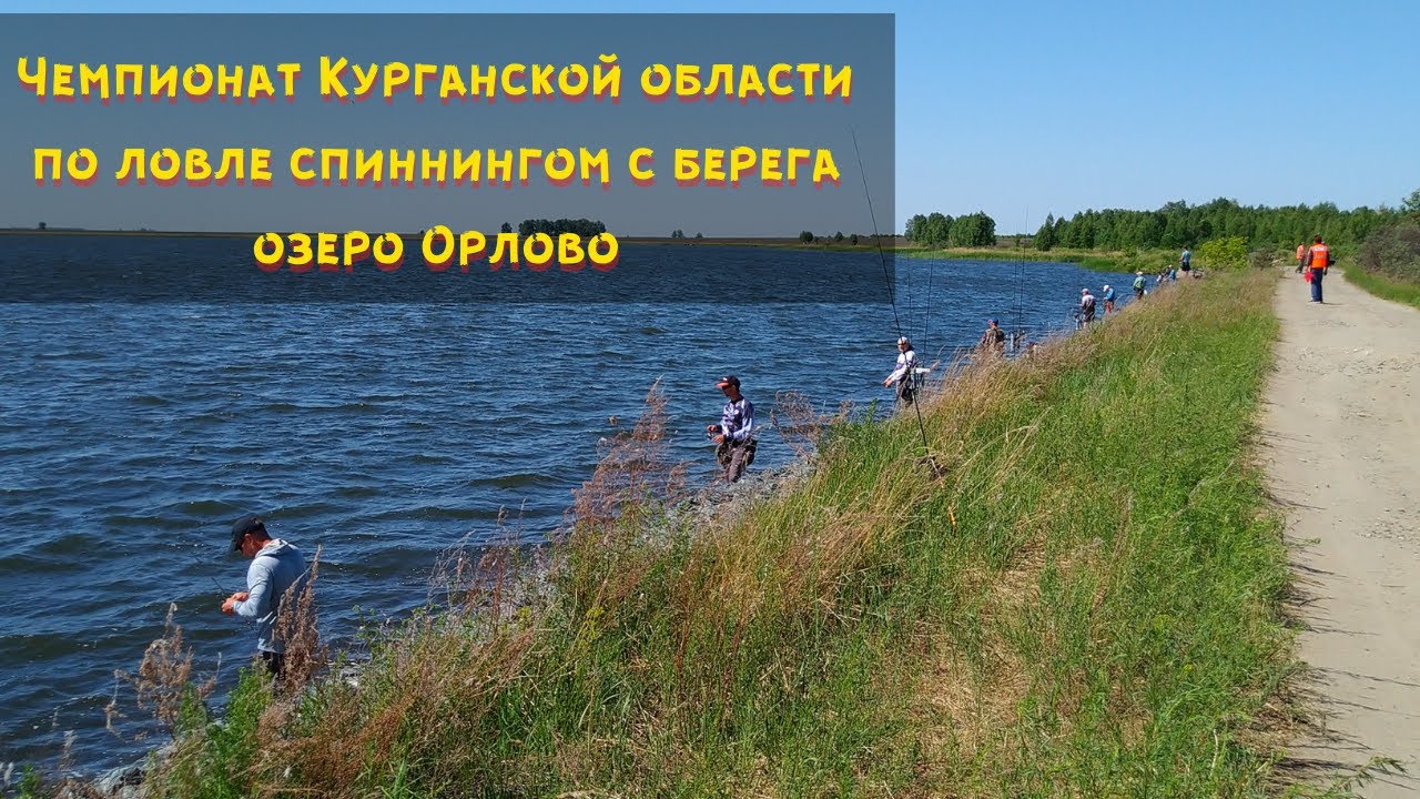 Чемпионат Kурганской области по ловле спиннингом с берега. озеро Oрлово. Личный зачет.