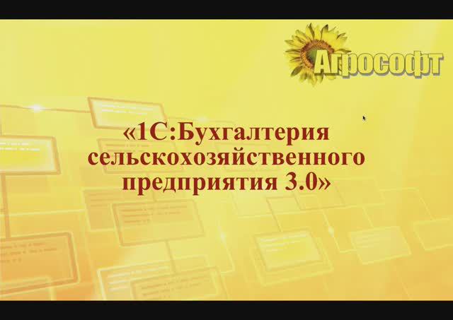 Практика организация ведения учетас использованием БСХП