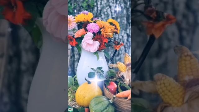 Отличного настроения