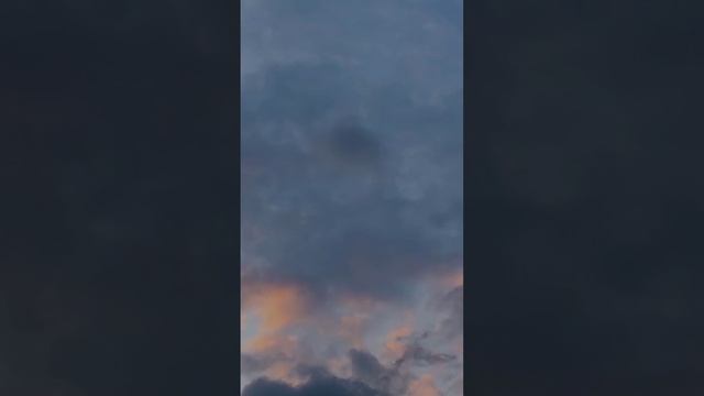 Забавная ситуация