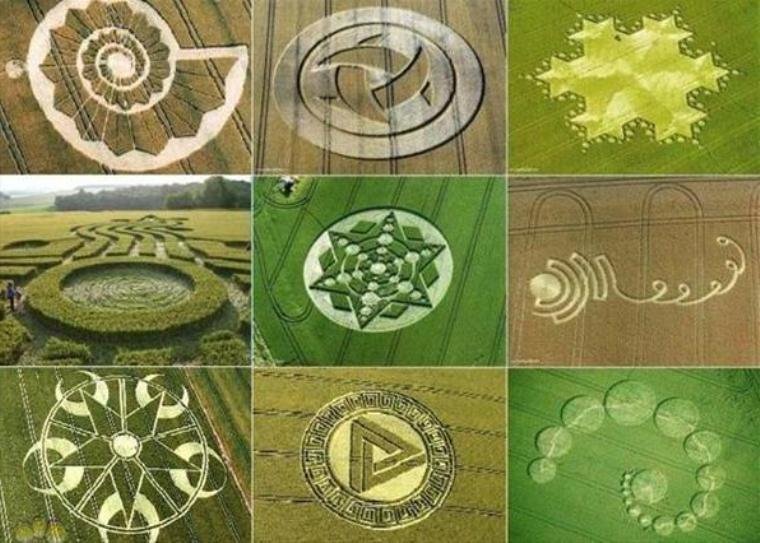 Все гипотезы происхождения КРУГОВ НА ПОЛЯХ.