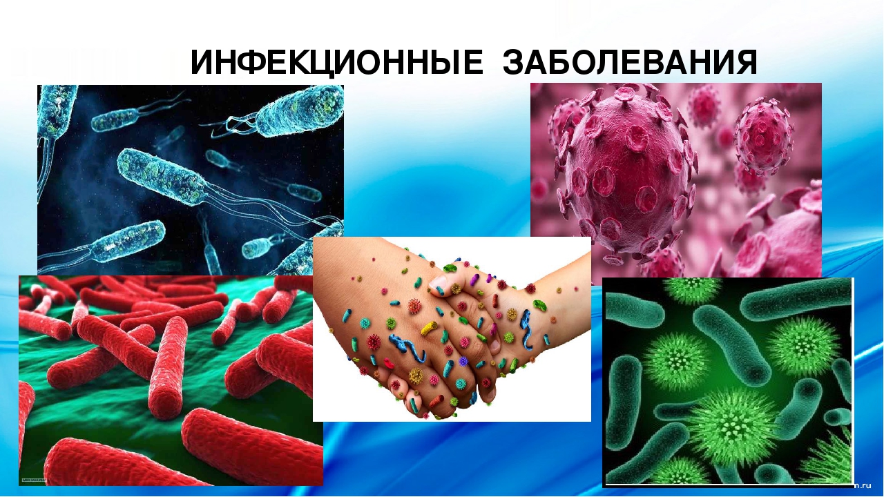 ОБЖ, 7 класс. Инфекционная заболеваемость людей и защита населения