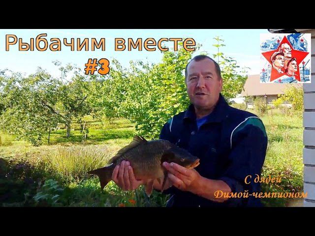 Рыбалка. Ловля карпа на фидер. Бабуринское озеро. Киржач. Архив 2015 год.