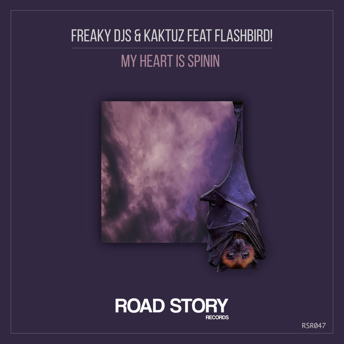 Freaky DJs & KaktuZ ft. Flashbird! - My Heart Is Spinin