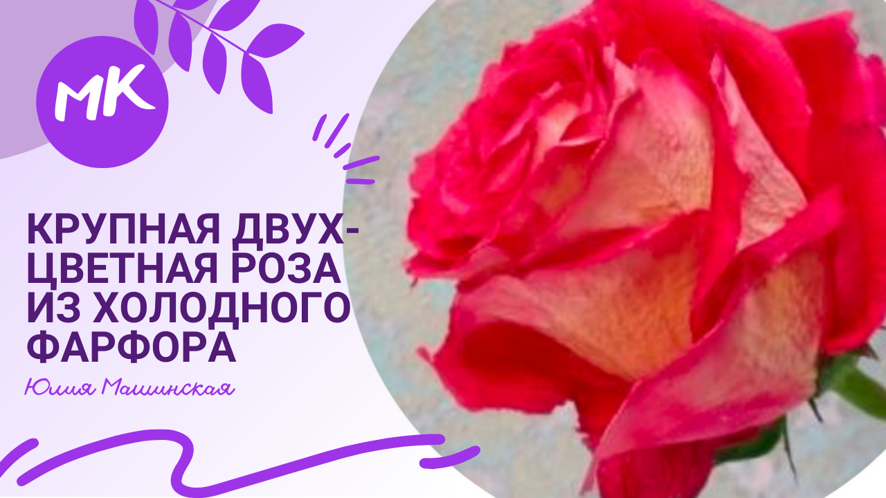 МК крупная двух-цветная Роза из холодного фарфора