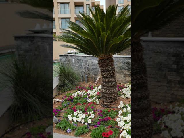 Отель Fame Residence Lara & SPA 5*. Все включено. Турция. #мореотдых #анталия #всевключено