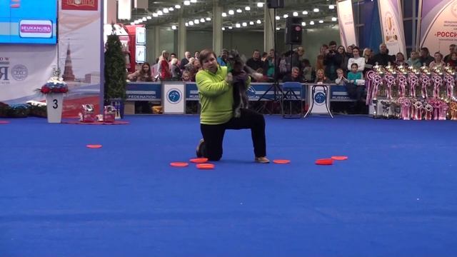 РОССИЯ 2014 Татьяна и Чижик.mp4