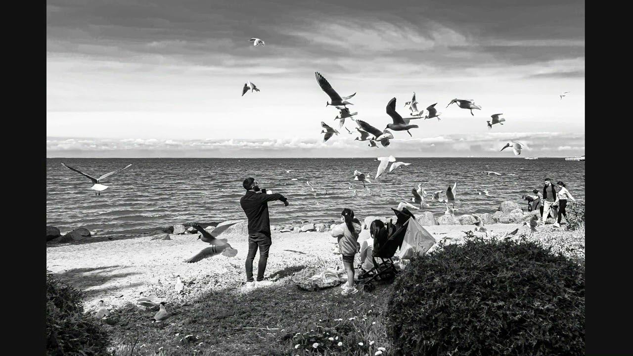 "Крылья" Прочитайте фотографию. Разбираем фотоработы. Символизм в фотографии. Уроки фотографии