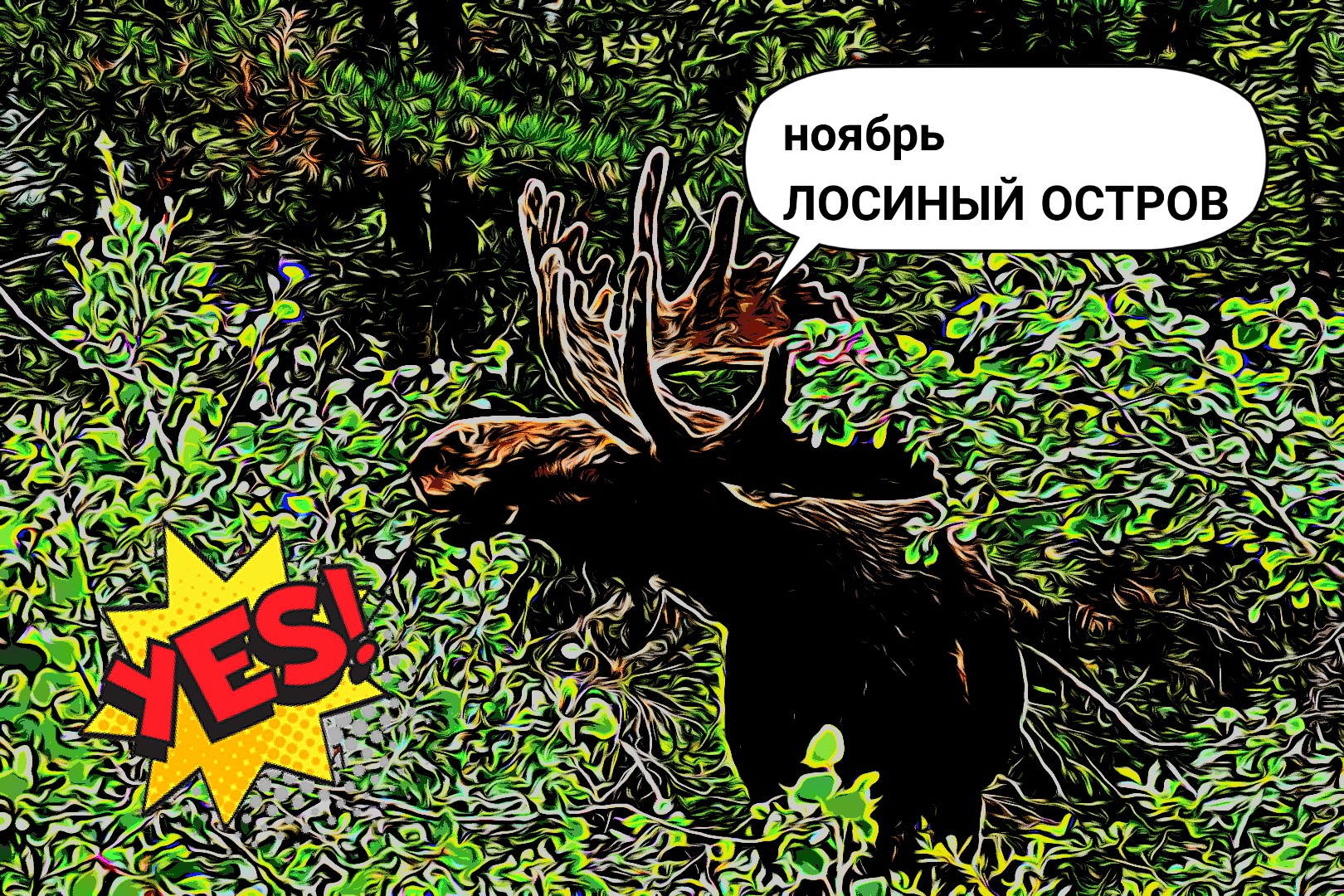 НОЯБРЬ В ЛОСИНОМ ОСТРОВЕ.