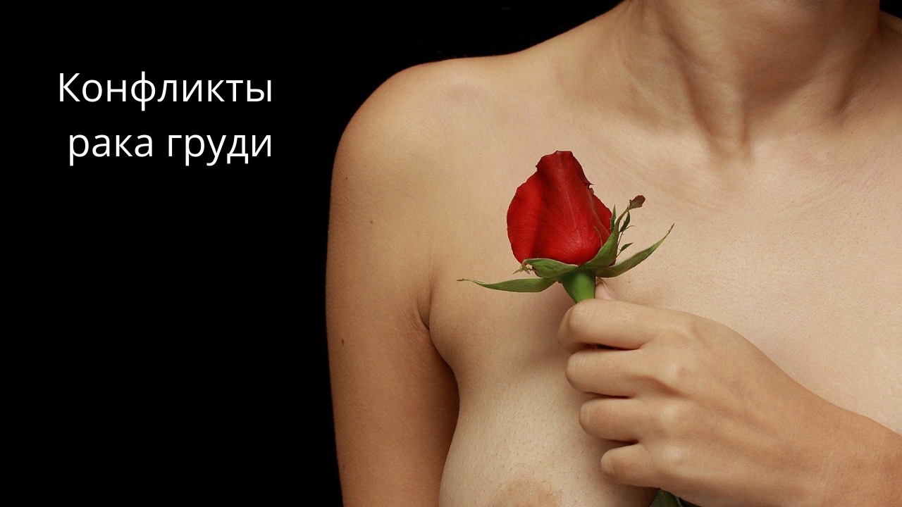 Рак груди. Конфликты рака груди. 1 часть