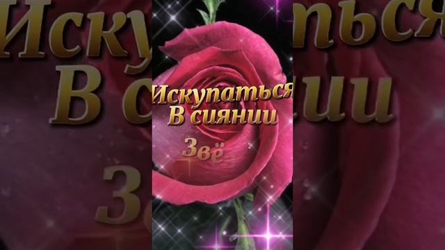 Доброго вечера!