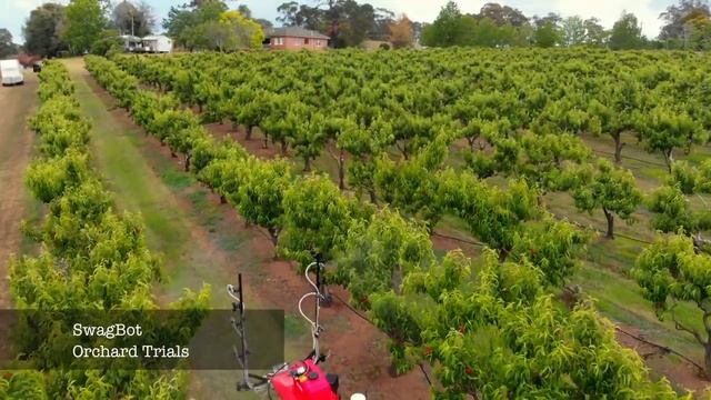 Робот - опрыскиватель