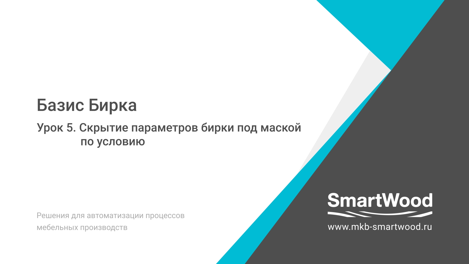 Урок 5. Скрытие параметров бирки под маской по условию