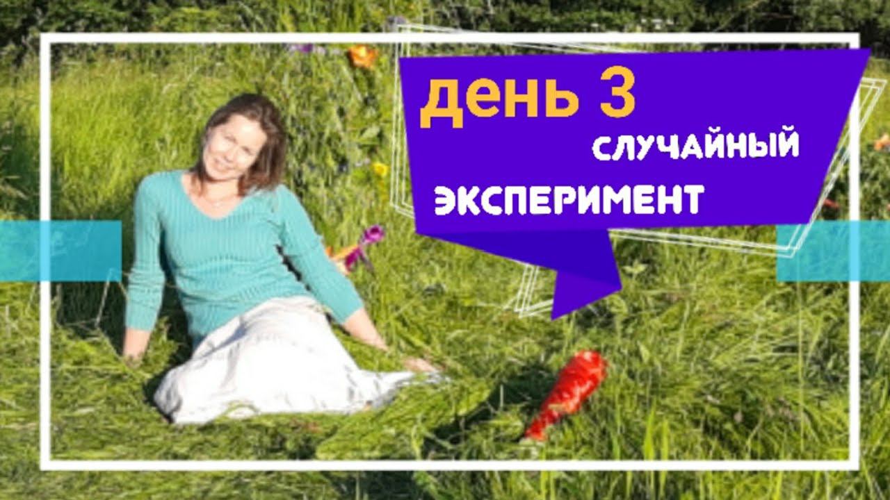 День 3. Мясо есть вредно?