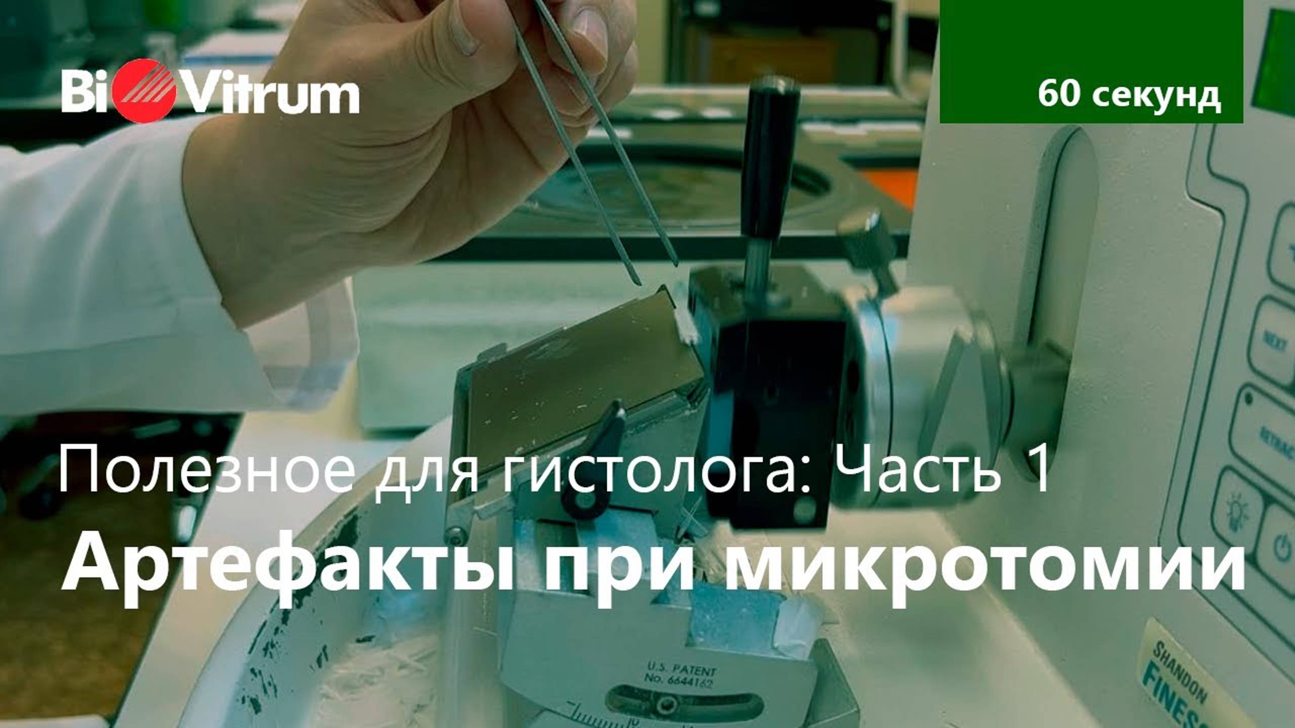 Артефакты при микротомии: Часть 1