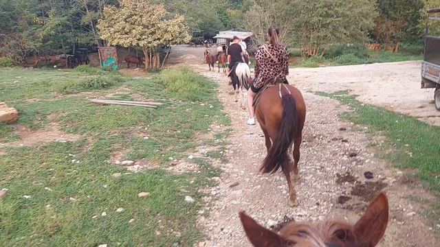 В горах Адлера