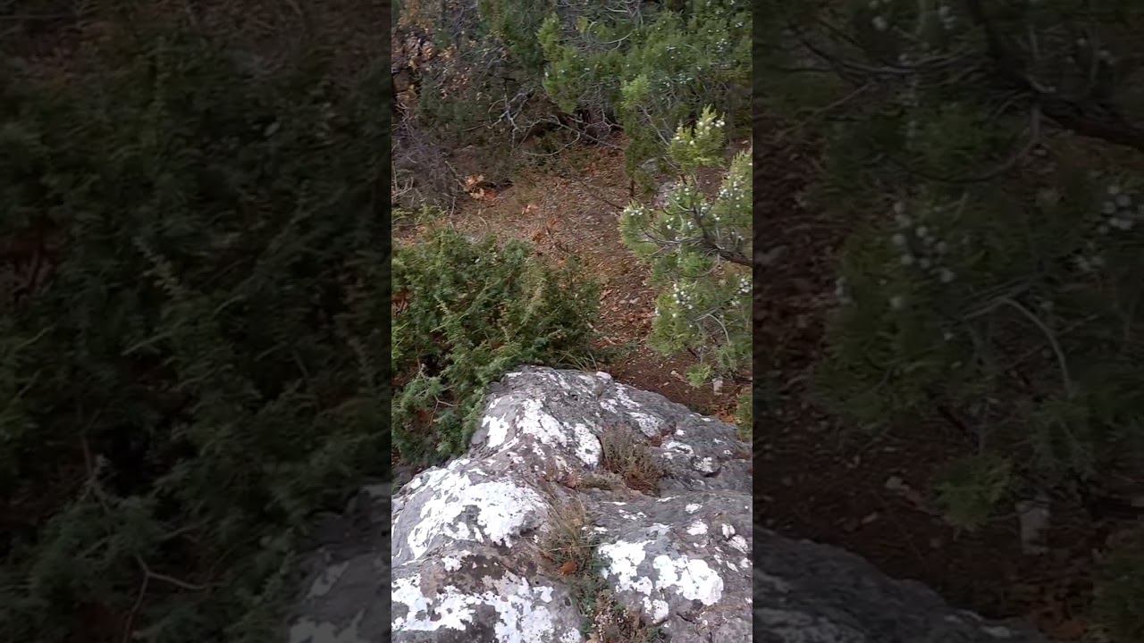 Ласпи.Место силы)