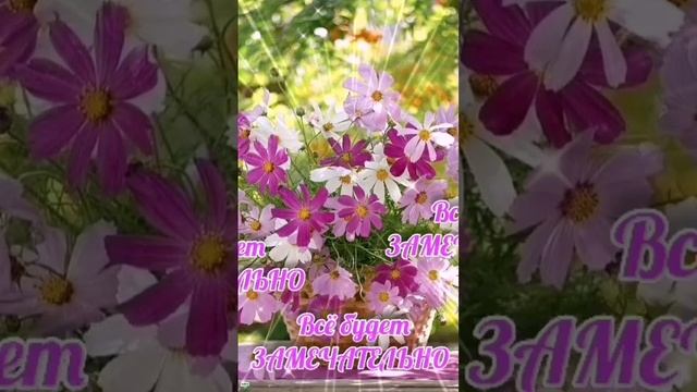 Хорошего летнего дня