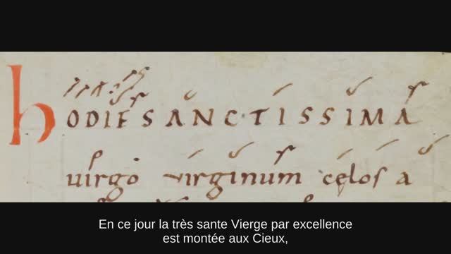 Vultum tuum Cum tropis