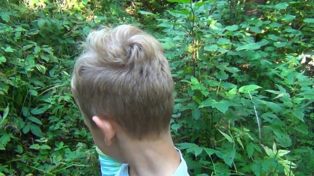 Ремонт. Приехали дети. Внуки. Начали выбирать картошку.